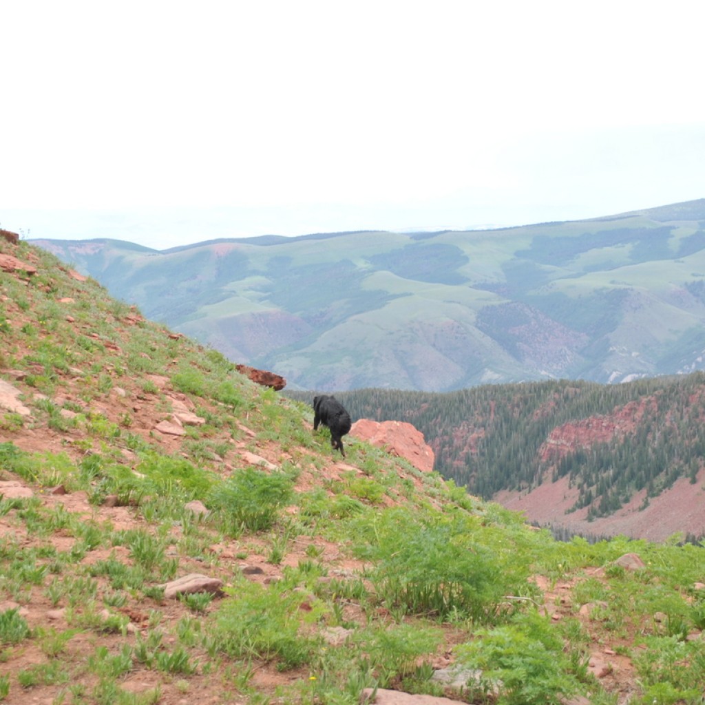 red_table_mountain (55) – Wild West River Rider