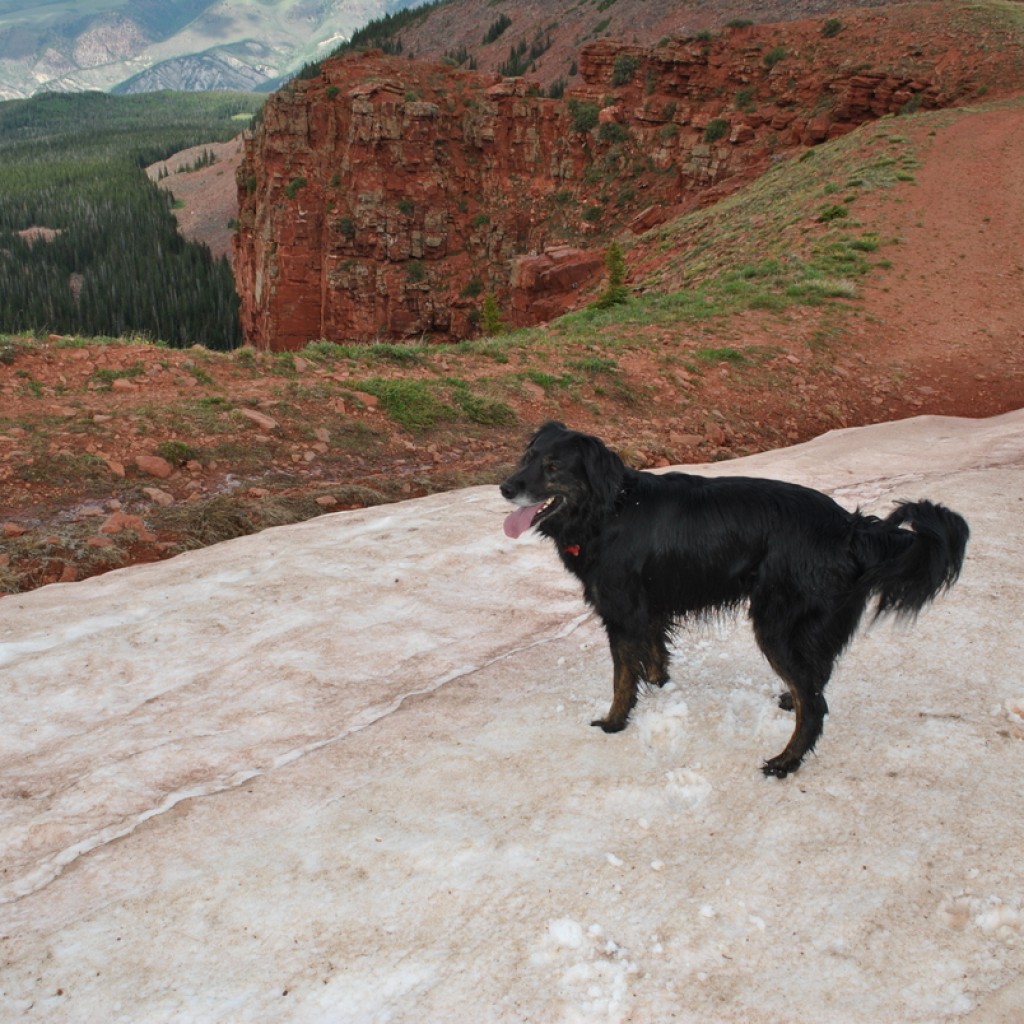 Red Table Mountain – Wild West River Rider